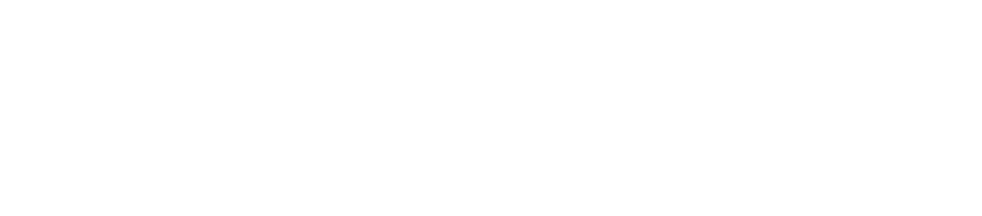 Pluto - Customizable Class Placement Software